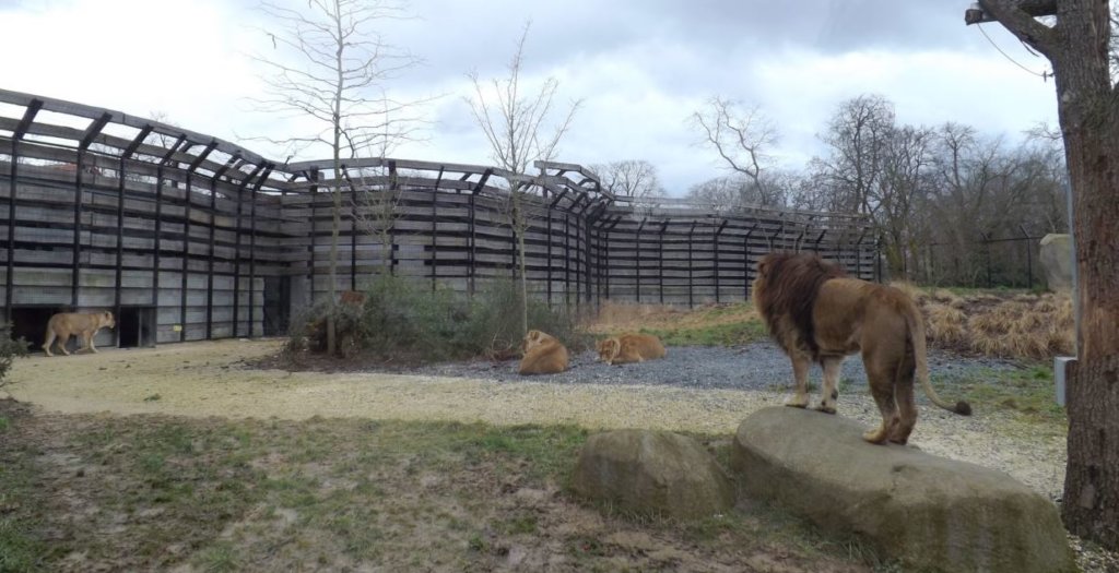 Distritos de París | Visitar las zonas y barrios más importantes